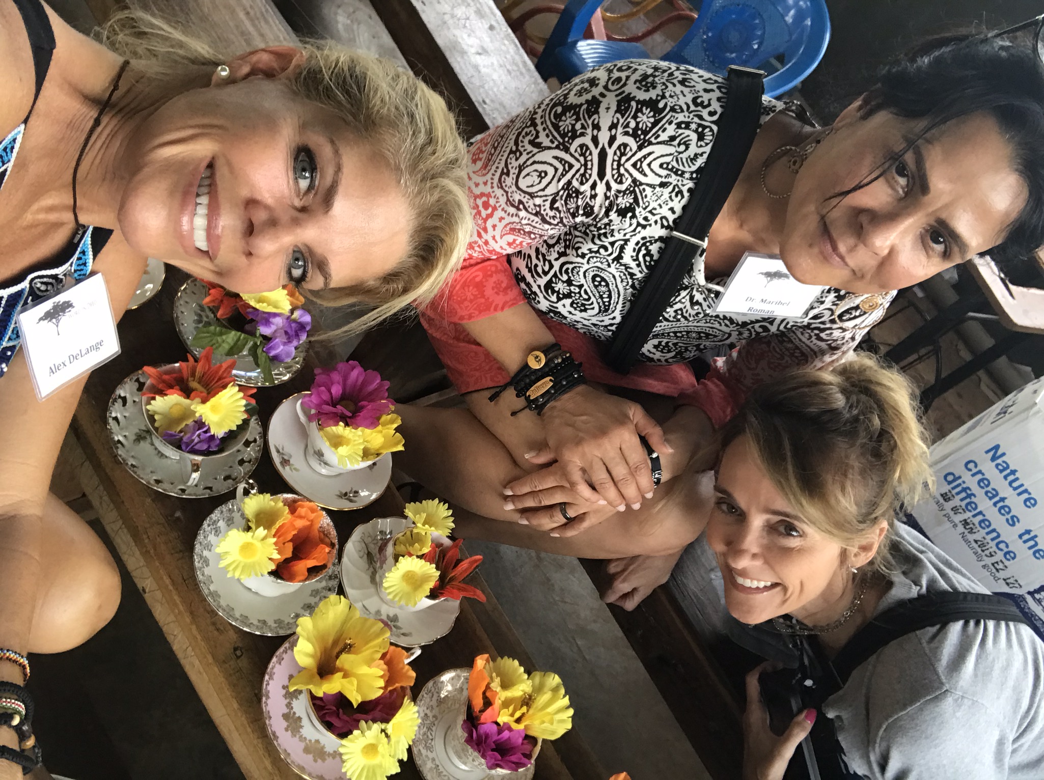 Tale of the Traveling Tea Cups – lisa nester